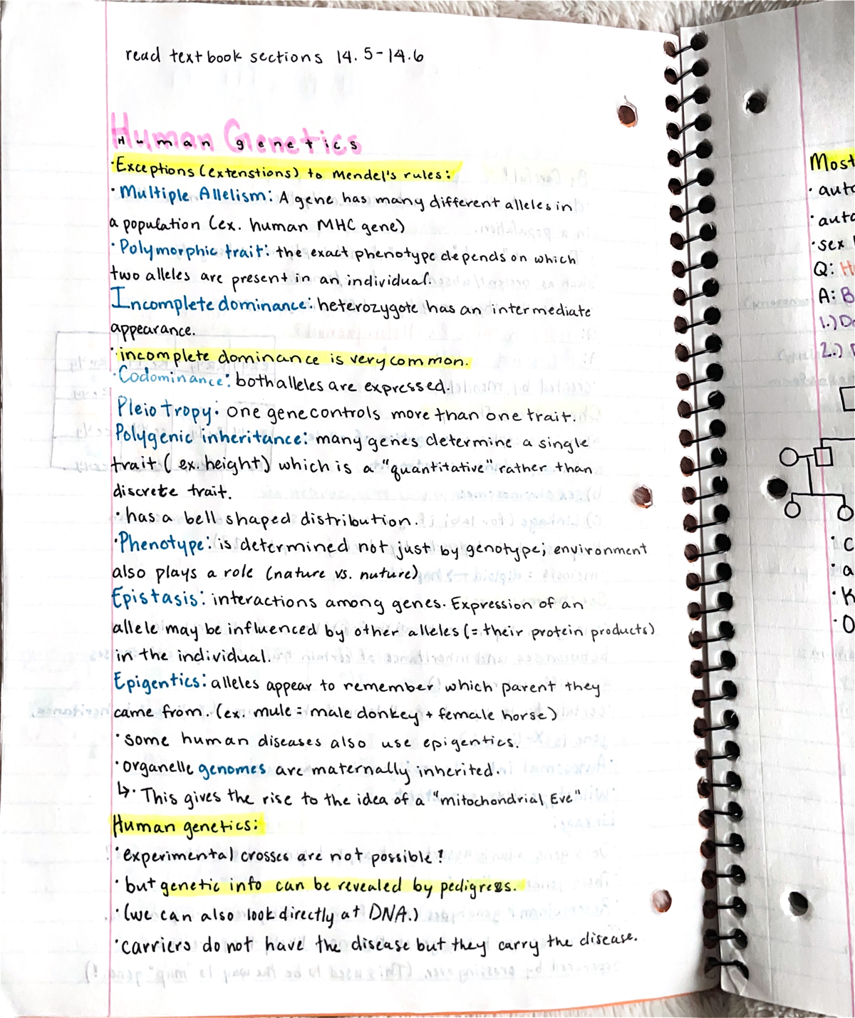 Human Genetics notes - read text book sections 14. Human Genetics ...