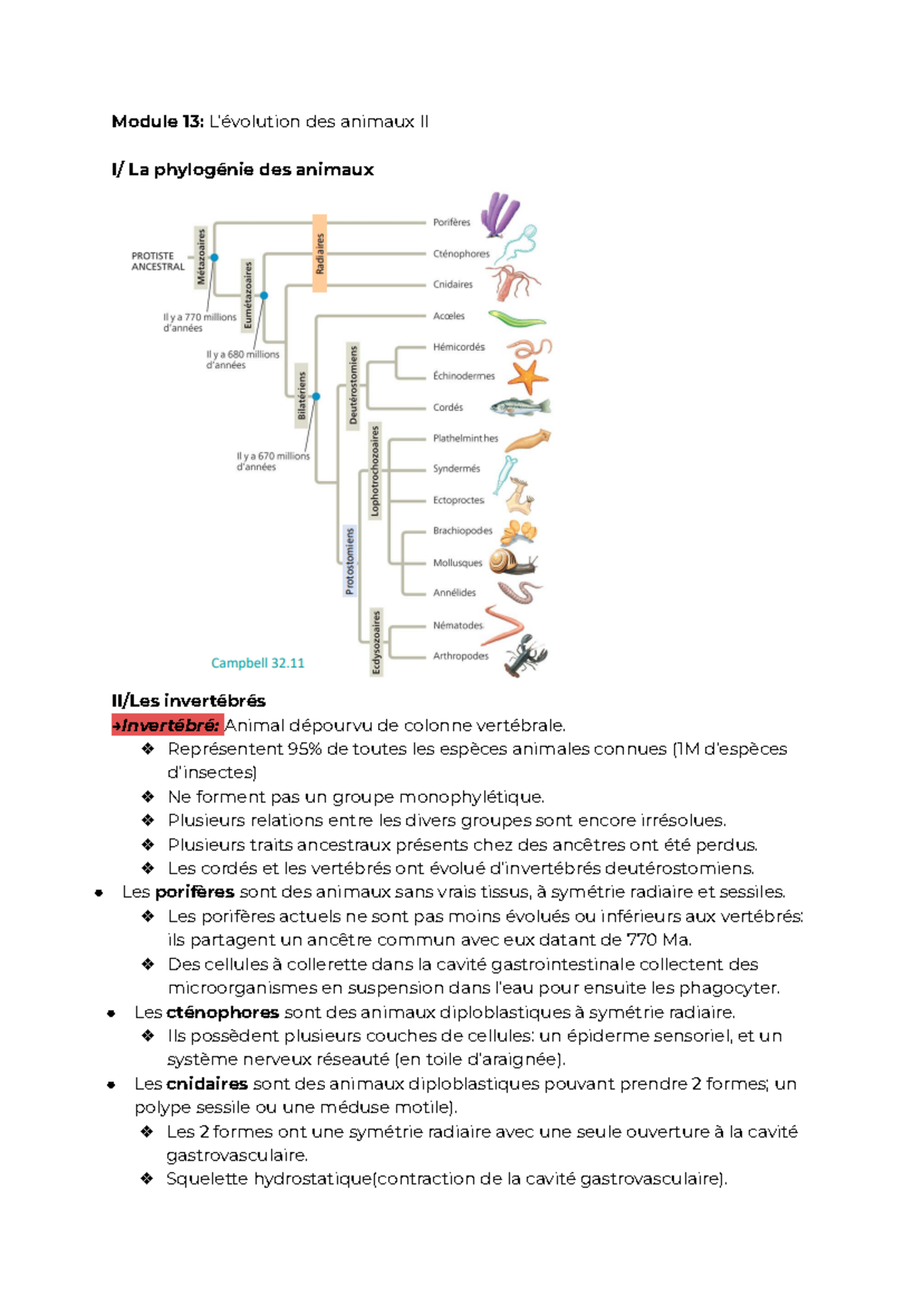 MOD13 BIO1530 - Module 13: L’évolution des animaux II I/ La phylogénie ...