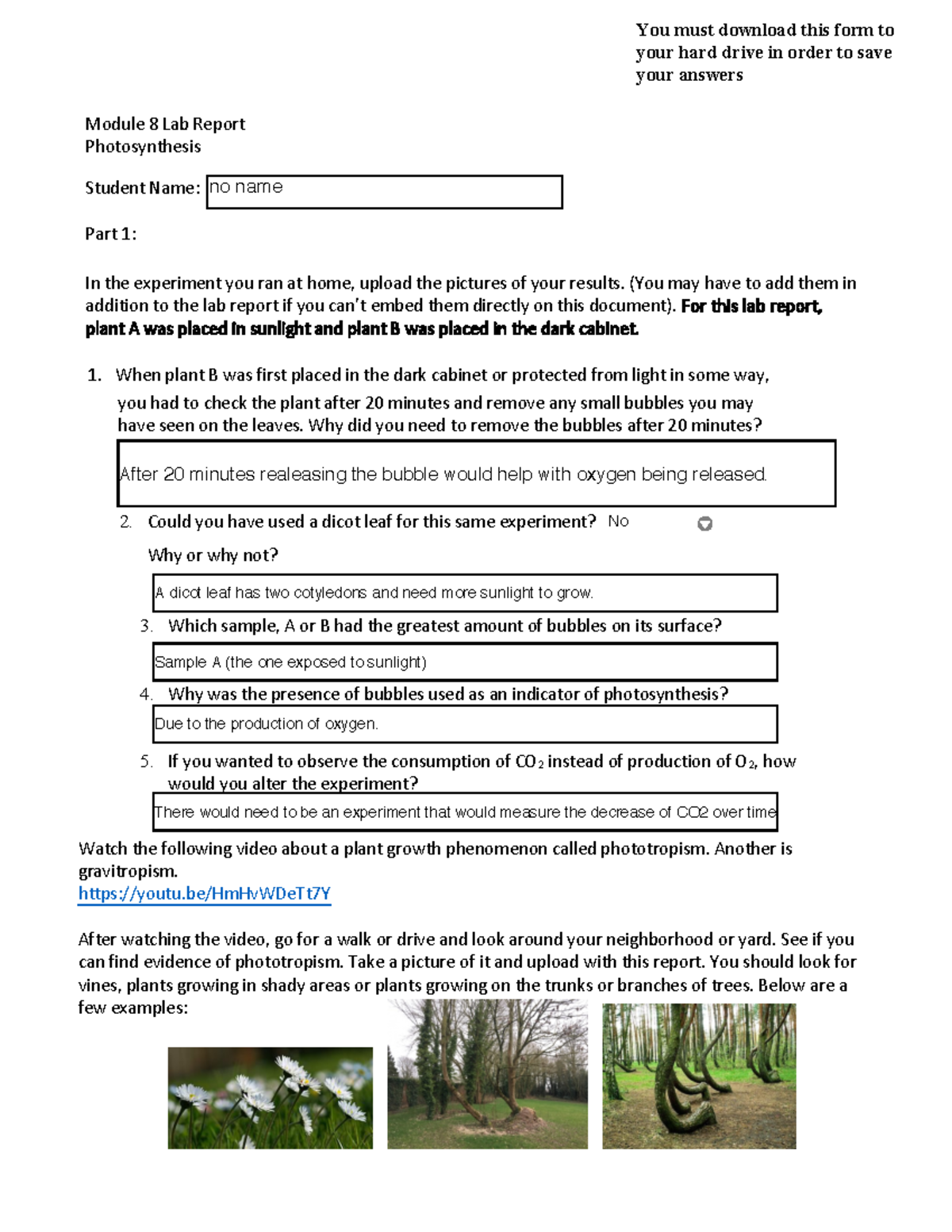 Module 8 Lab Report - Module 8 Lab Report Photosynthesis Student Name: Part 1: In the experiment ...