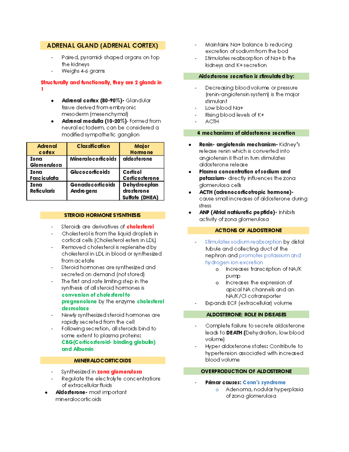 Adrenal- Gland - ADRENAL GLAND (ADRENAL CORTEX) Paired, pyramid- shaped ...