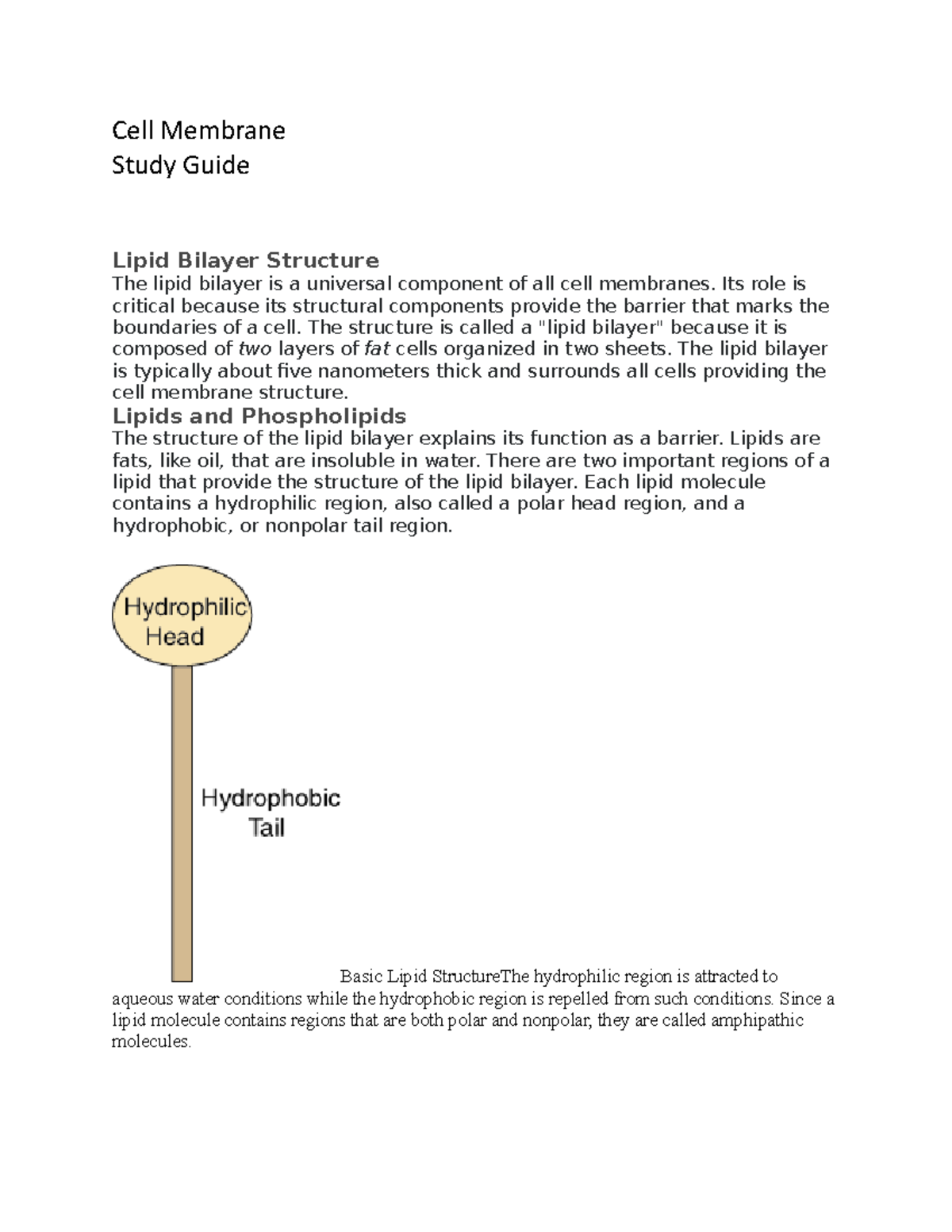 Cell Membrane part 1 - Notes - Cell Membrane Study Guide Lipid Bilayer ...