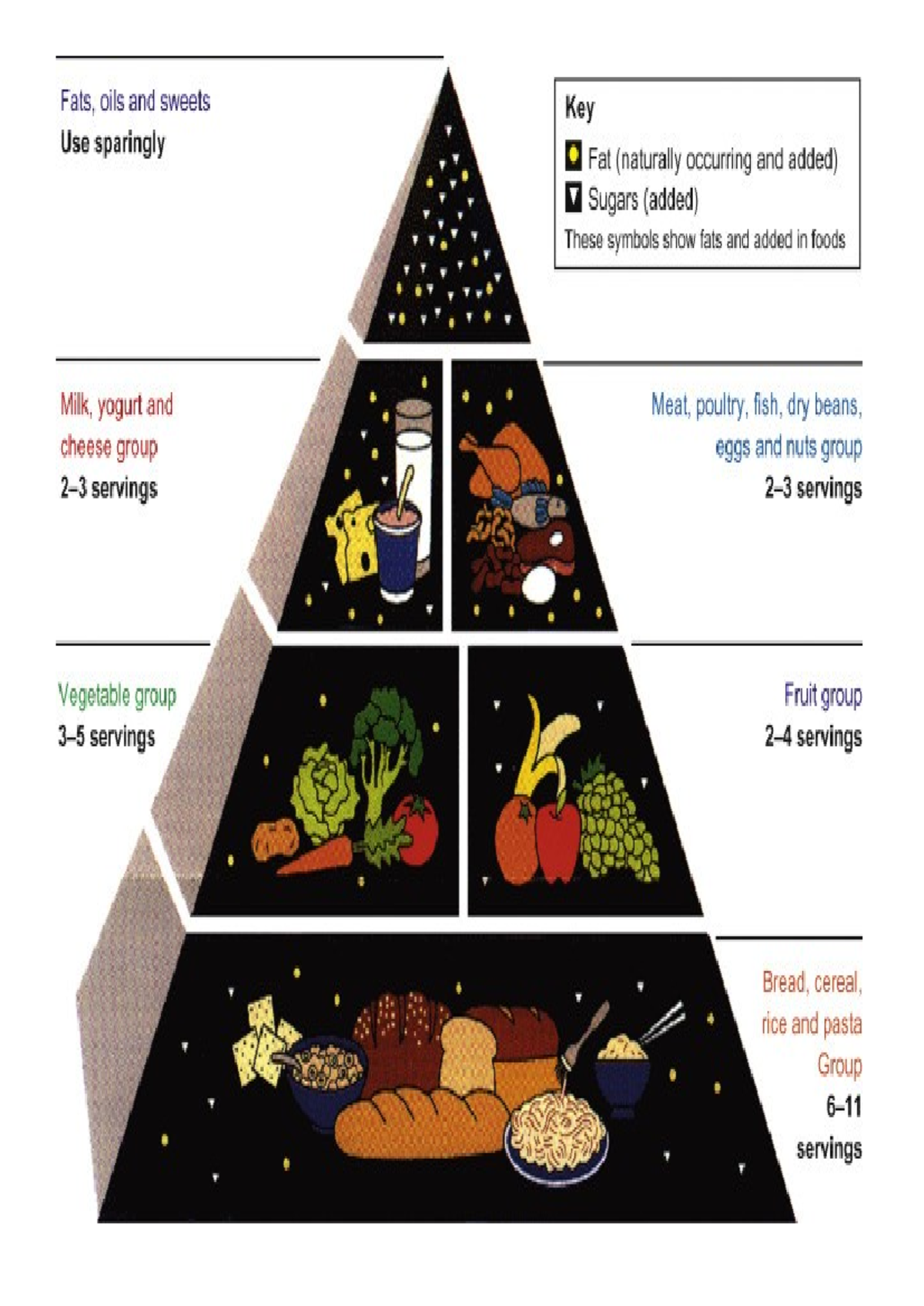 Equivalents of one serving portion of common foods FOOD Pyramid ...