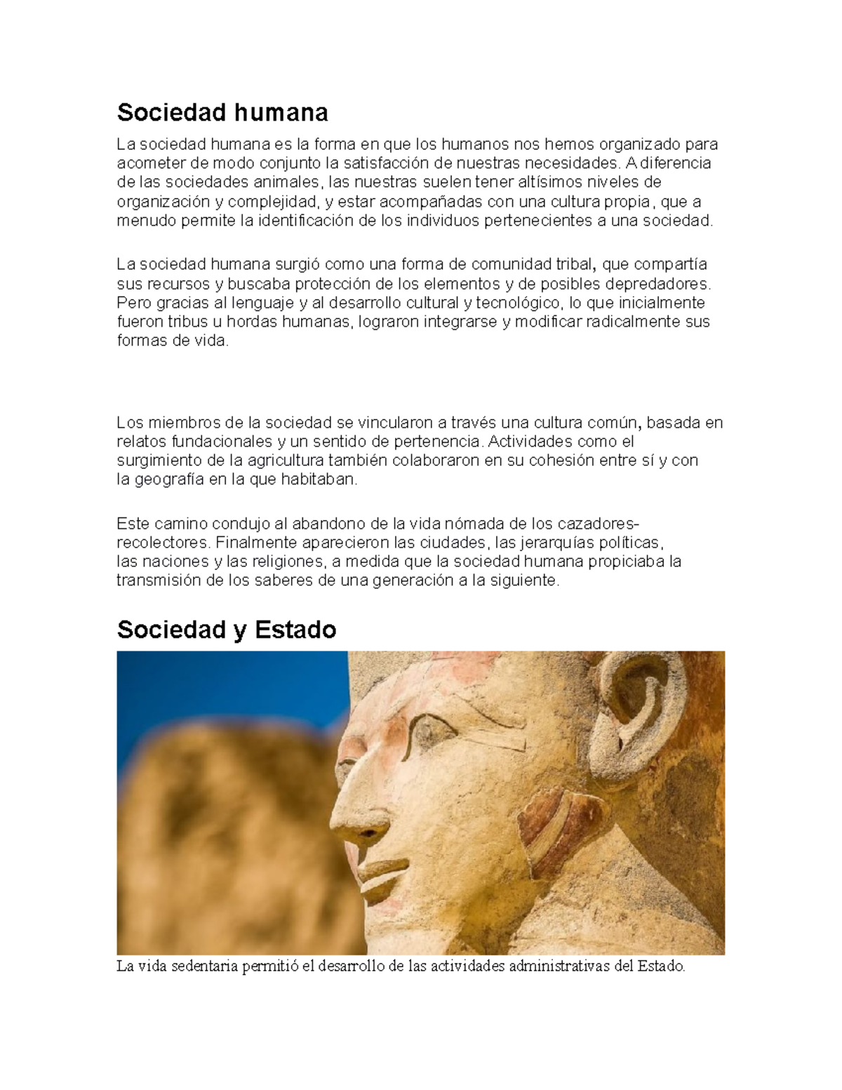 Sociedad humana de desarrollo humano - Sociedad humana La sociedad ...