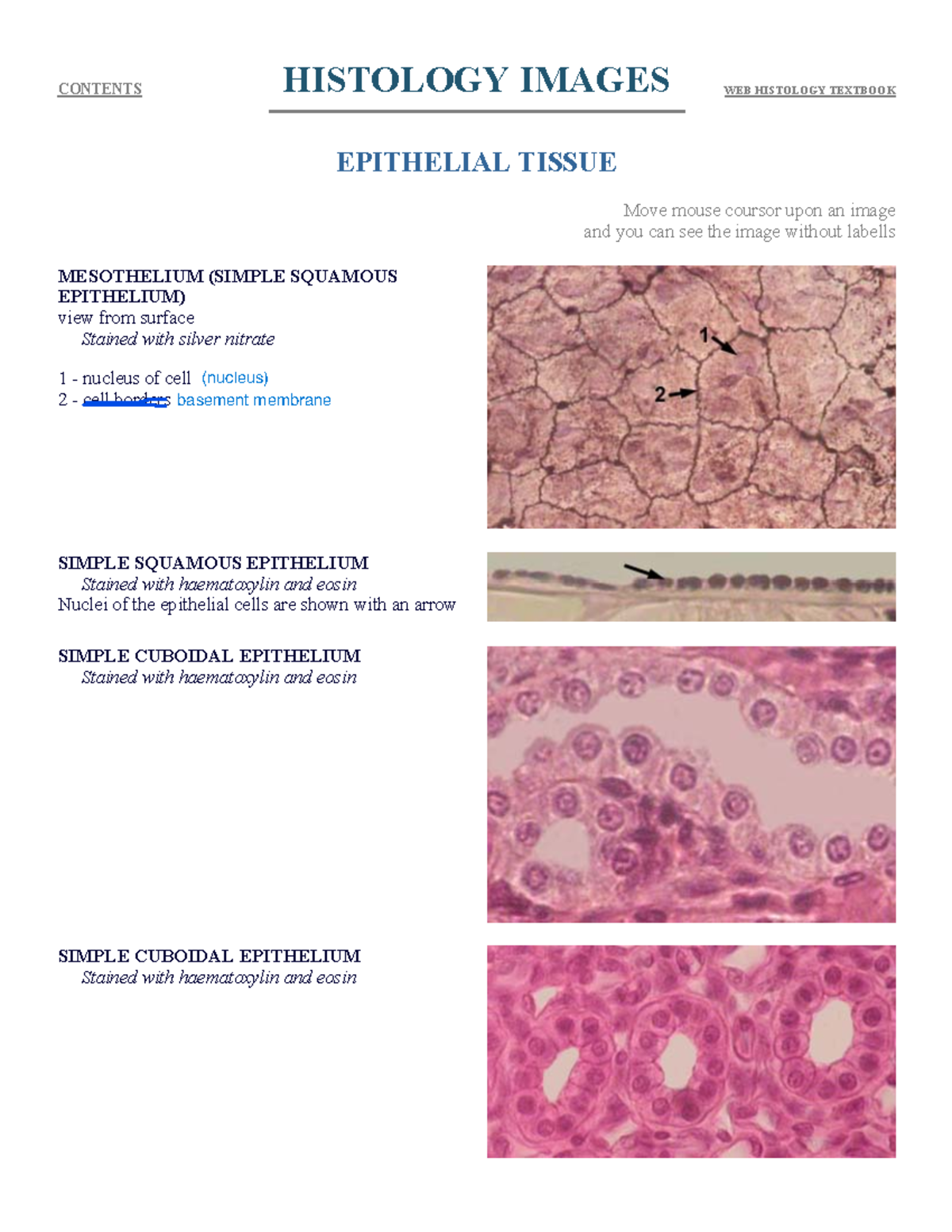 Histopathology tissues - CONTENTS HISTOLOGY IMAGES WEB HISTOLOGY ...