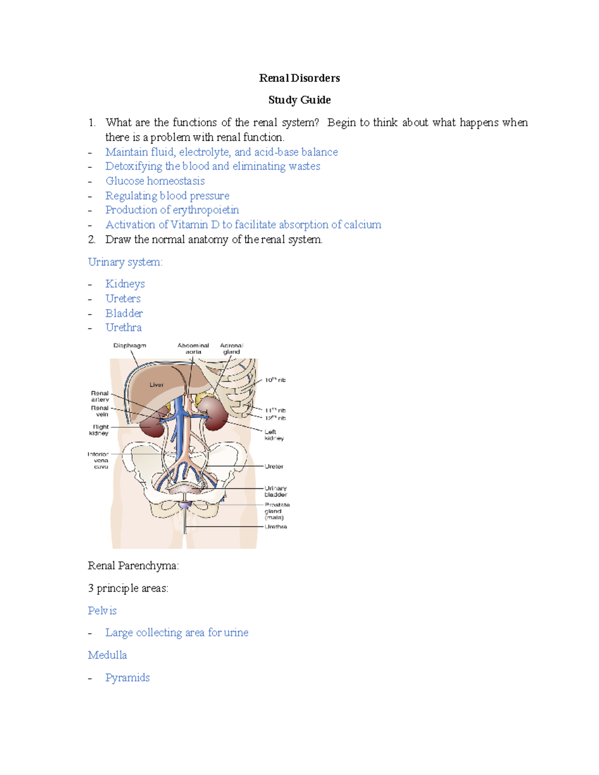 Renal Study Guide - Renal Disorders Study Guide What are the functions ...