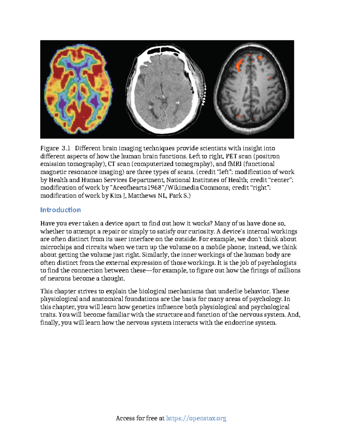 Introduction to Course - Figure 3 Different brain imaging techniques ...