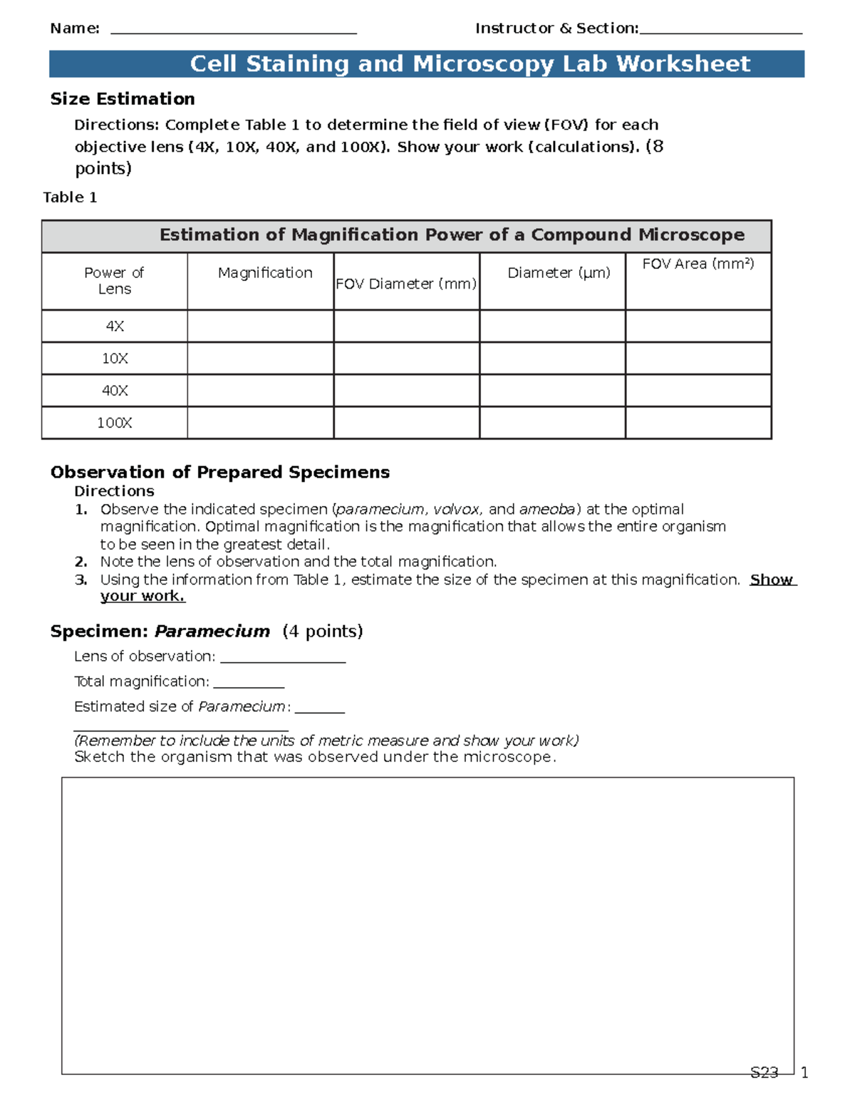 S23 Cell Staining and Microscopy Worksheet - Size Estimation Directions ...