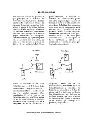 Inserto proteinas totales marca QCA - QUIMICA CLINICA APLICADA S ...