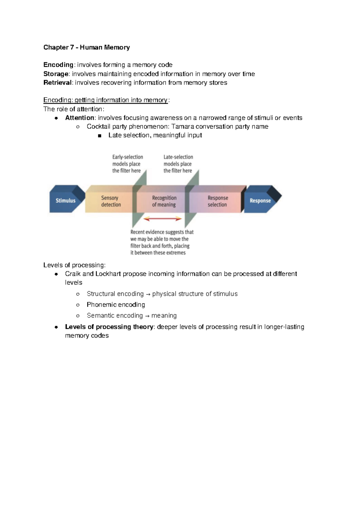 Chapter 7 - Chapter 7 - Human Memory Encoding: involves forming a memory code Storage: involves ...
