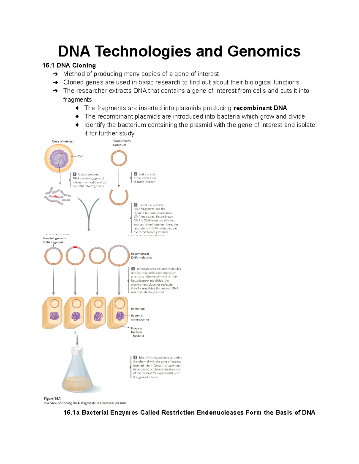 Unit 16 - unit 16 - DNA Technologies and Genomics 16 DNA Cloning Method ...