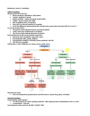 Meiosis HW - biology - BIOL 151 - Meiosis Reading and Questions Packet © Cinch Learning - Studocu