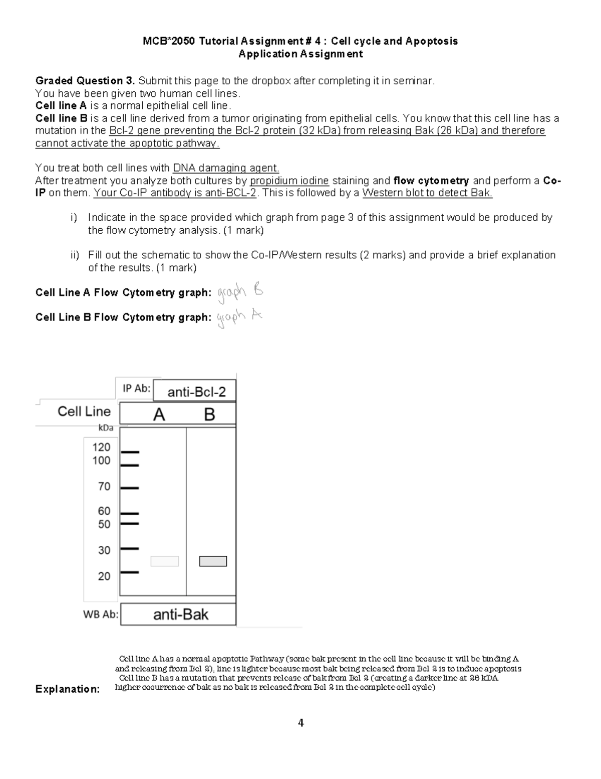 Tutorial 4 Seminar Assignment - PDF - MCB*2050 Tutorial Assignment # 4 ...