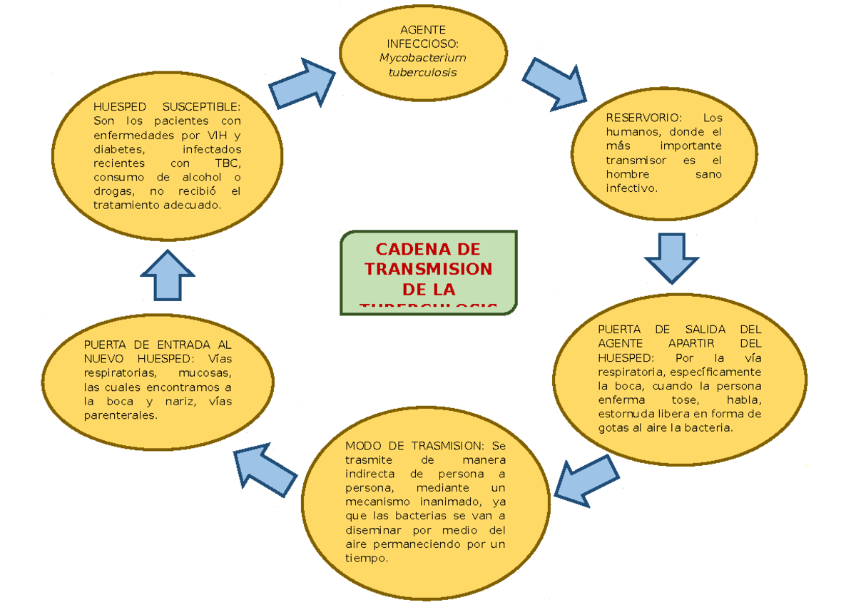 Informe 1 - RESERVORIO: Los humanos, donde el más importante transmisor ...