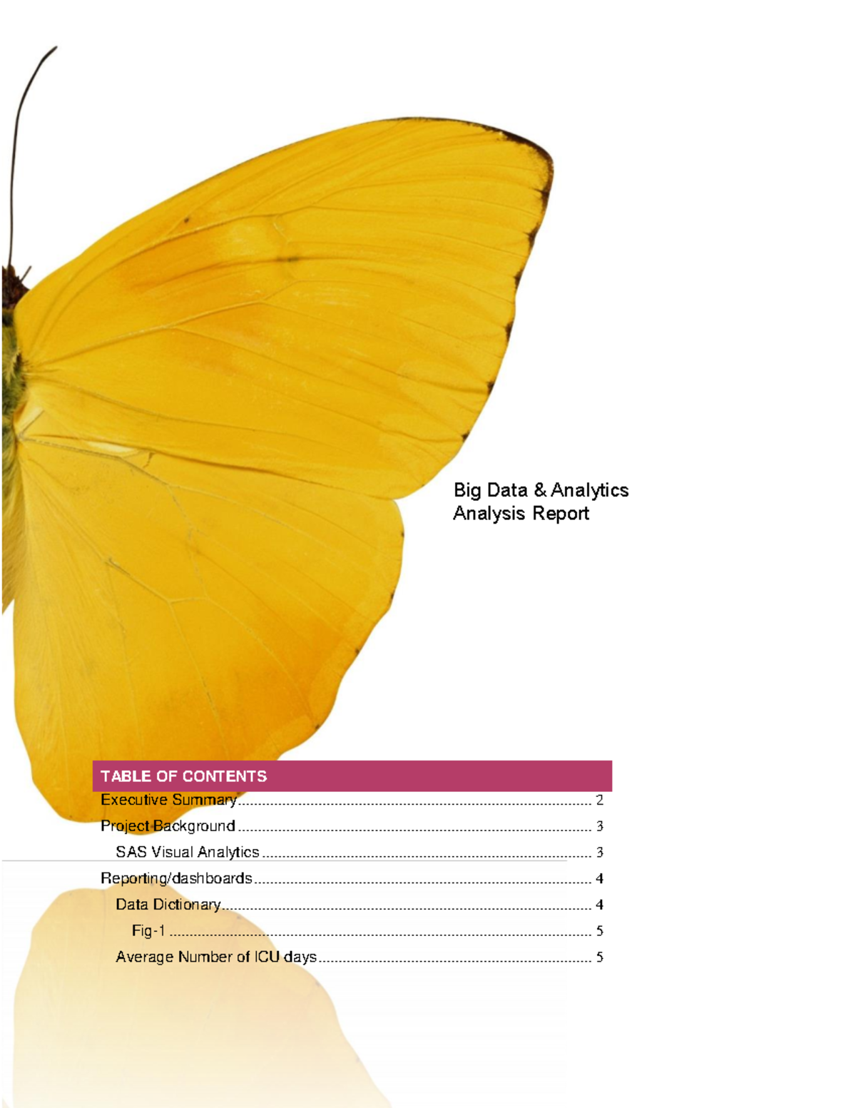 Analysis Report Group - ITECH 1103 Major assignment along with ...