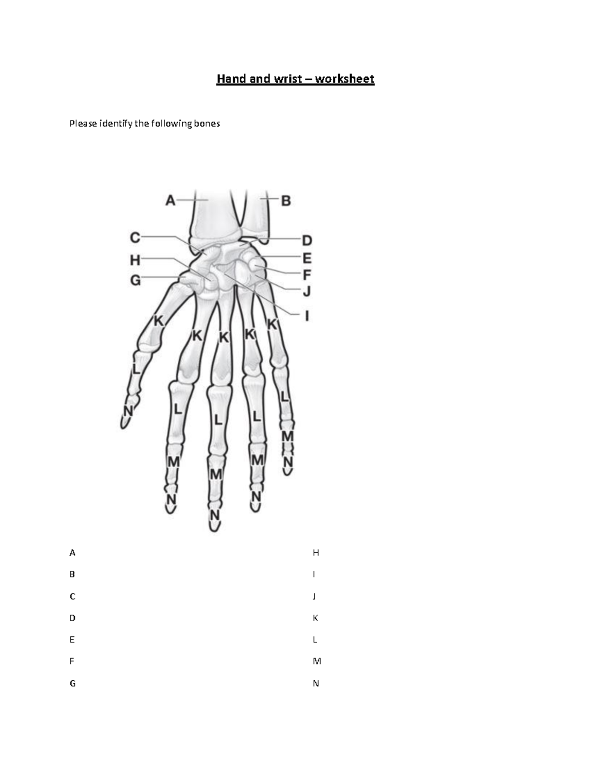 Hand and wrist - worksheet - Hand and wrist – worksheet Please identify ...