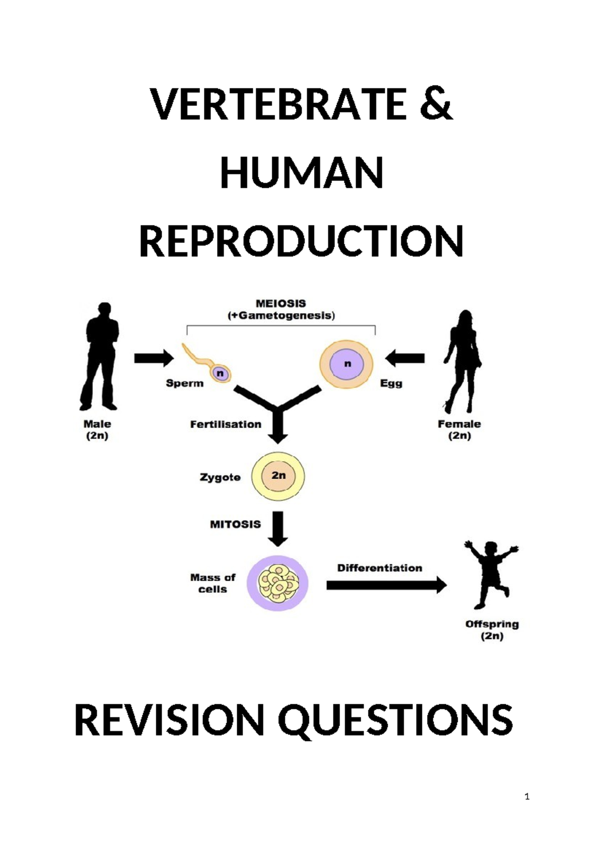Vertebrate AND Human Reproduction 2018 - VERTEBRATE & HUMAN ...