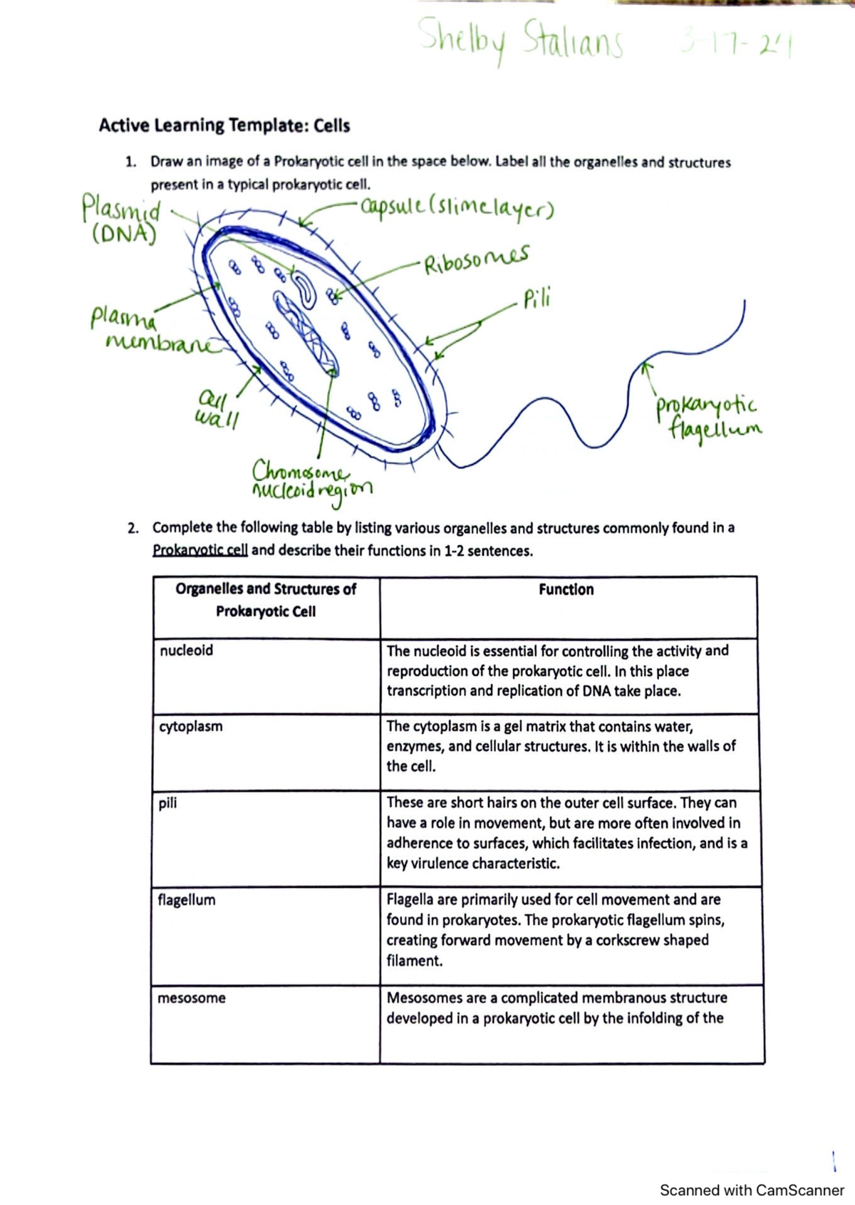 Bios242 wk2 assgn complete - BIOS-242 - Studocu