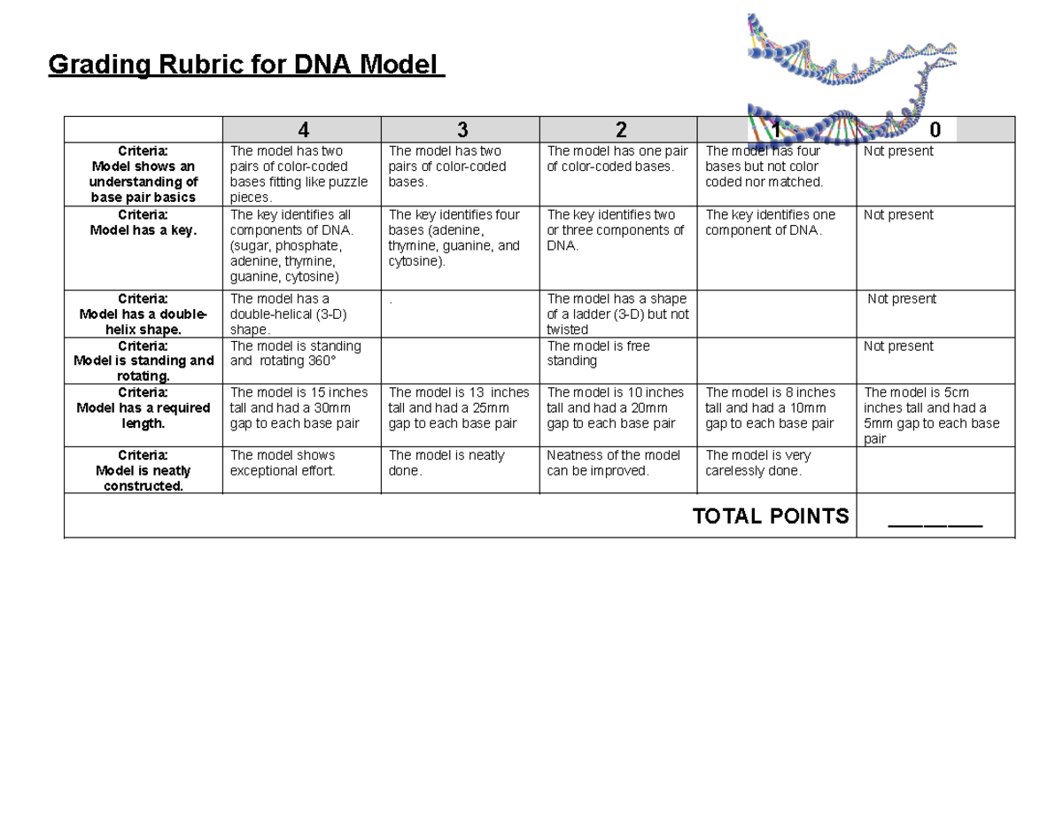 Rubric for DNA Bio - None - Grading Rubric for DNA Model 4 3 2 1 0 ...
