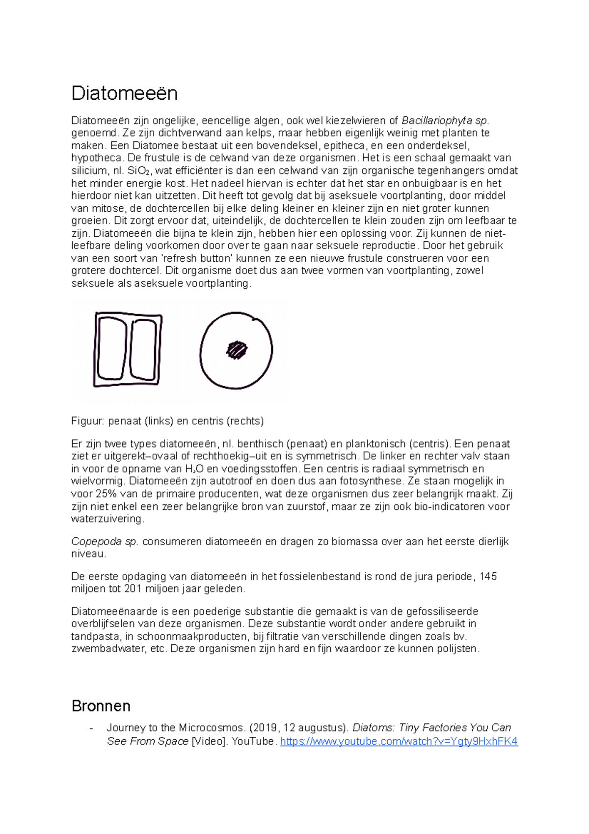 Diatomeeën (deel voor verslag) - Diatomeeën Diatomeeën zijn ongelijke ...