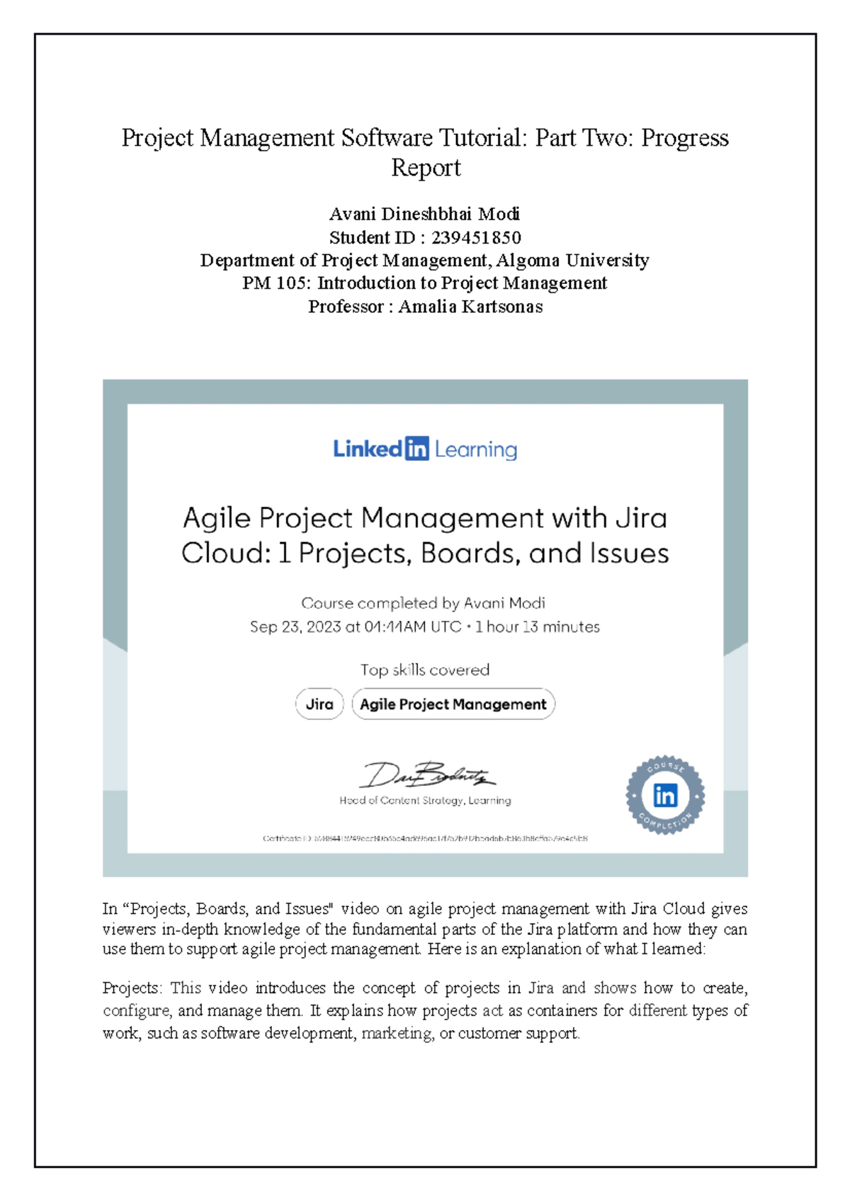 Agile jira progress report - Project Management Software Tutorial: Part Two: Progress Report ...