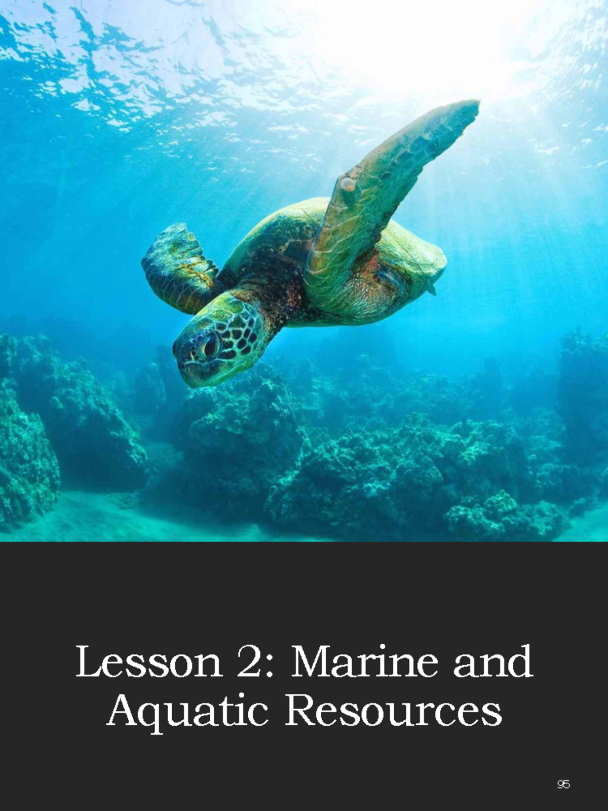 Unit 3 Lesson 2 - Marine and Aquatic Resources - Lesson 2: Marine and ...