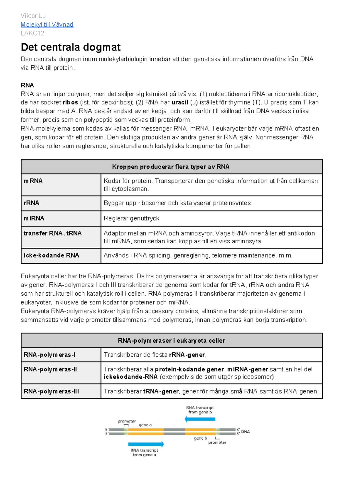 5. Det centrala dogmat - Molekyl till Vävnad LÄKC Det centrala dogmat ...