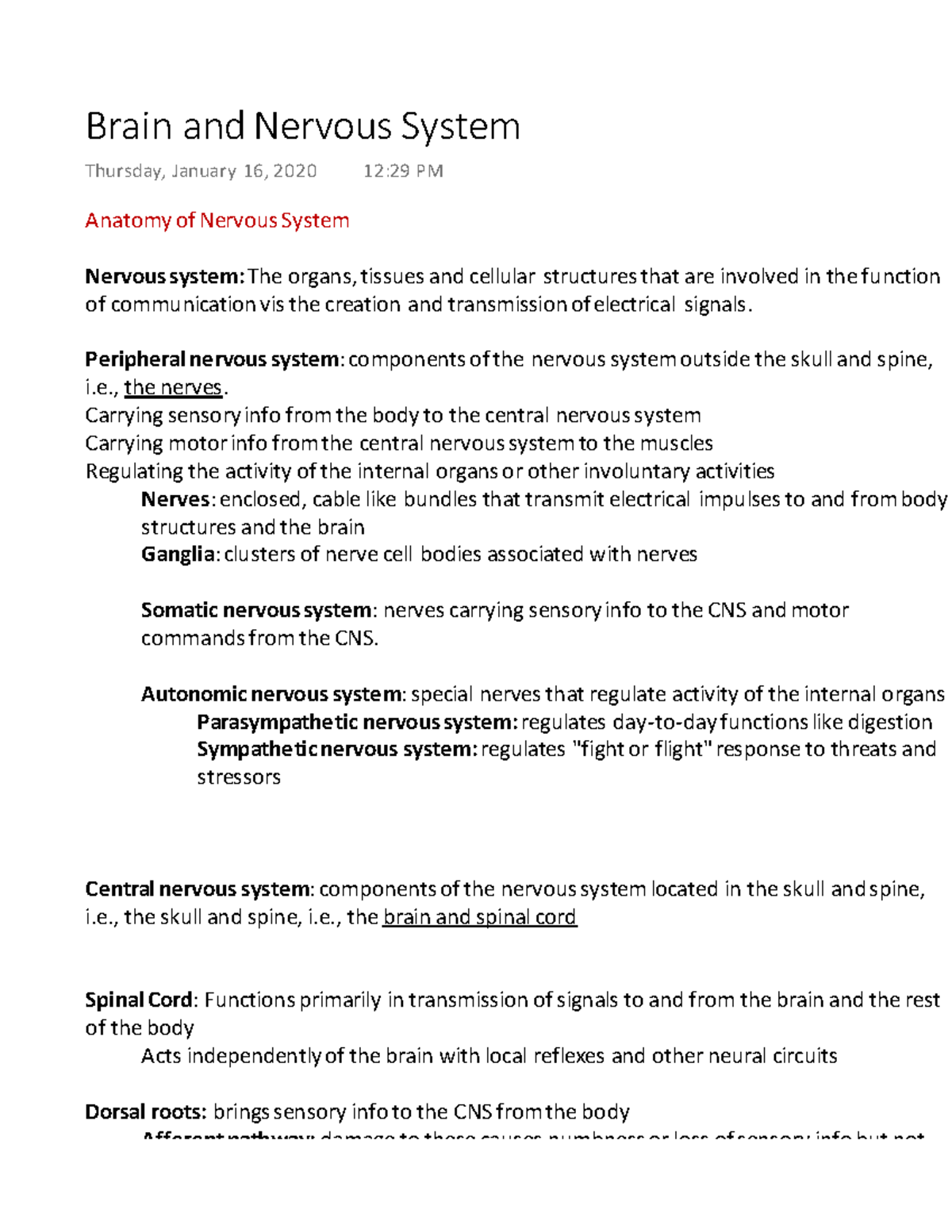 Brain and Nervous System - Anatomy of Nervous System Nervous system:The ...