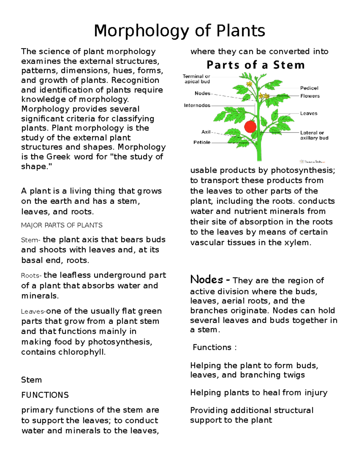 Morphology of Plants - botany notes - Morphology of Plants The science ...