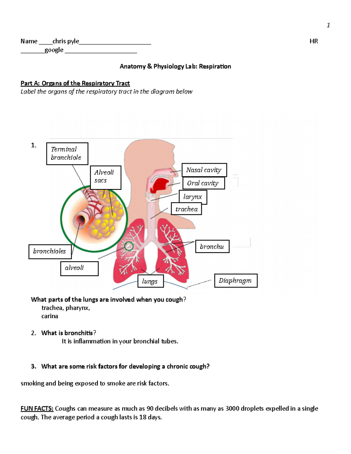 Respiration Lab - Handout - Name chris pyle_________________ HR ...