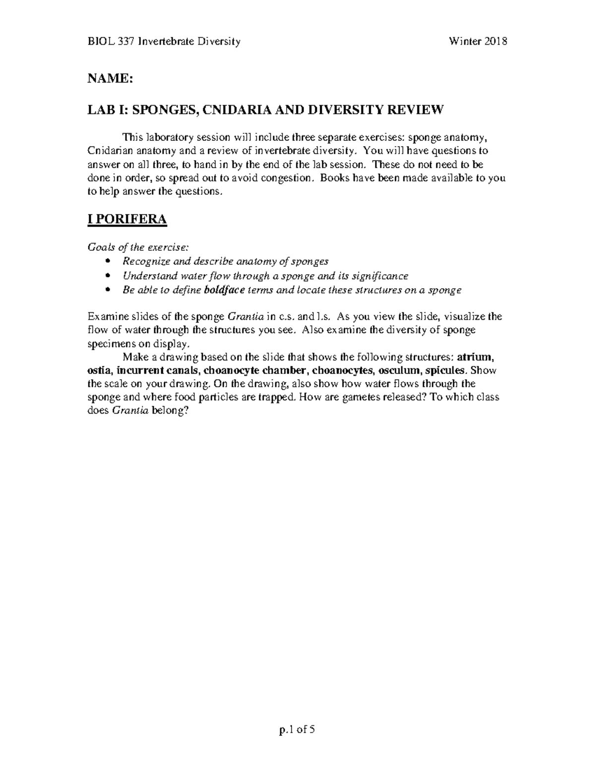 LAB I - First lab on invertebrates. - BIOL 337 Invertebrate Diversity ...