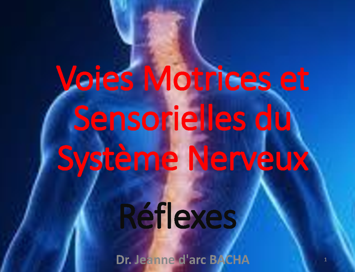 Ch2 mn senso mot reflexe - Voies Motrices et Sensorielles du Système ...