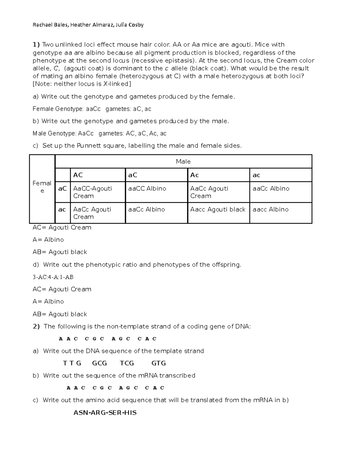 Advanced Punnett Square, DNA, Genetics Activity - Rachael Bales ...