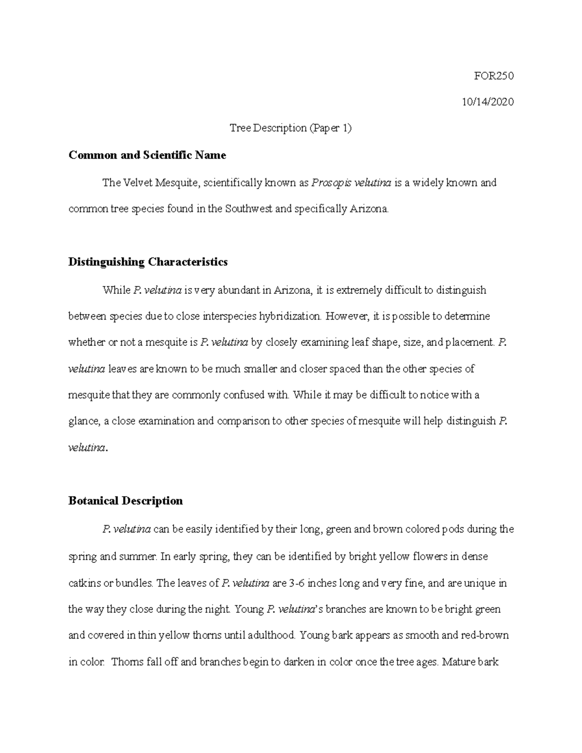 Tree Description (Paper 1) - FOR 10/14/ Tree Description (Paper 1 ...