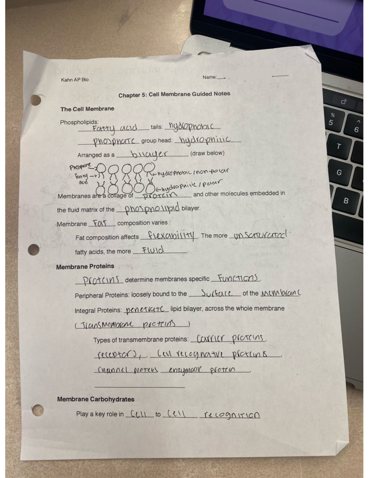 Cell membrane - The key learning objectives from this assignment are: 1 ...
