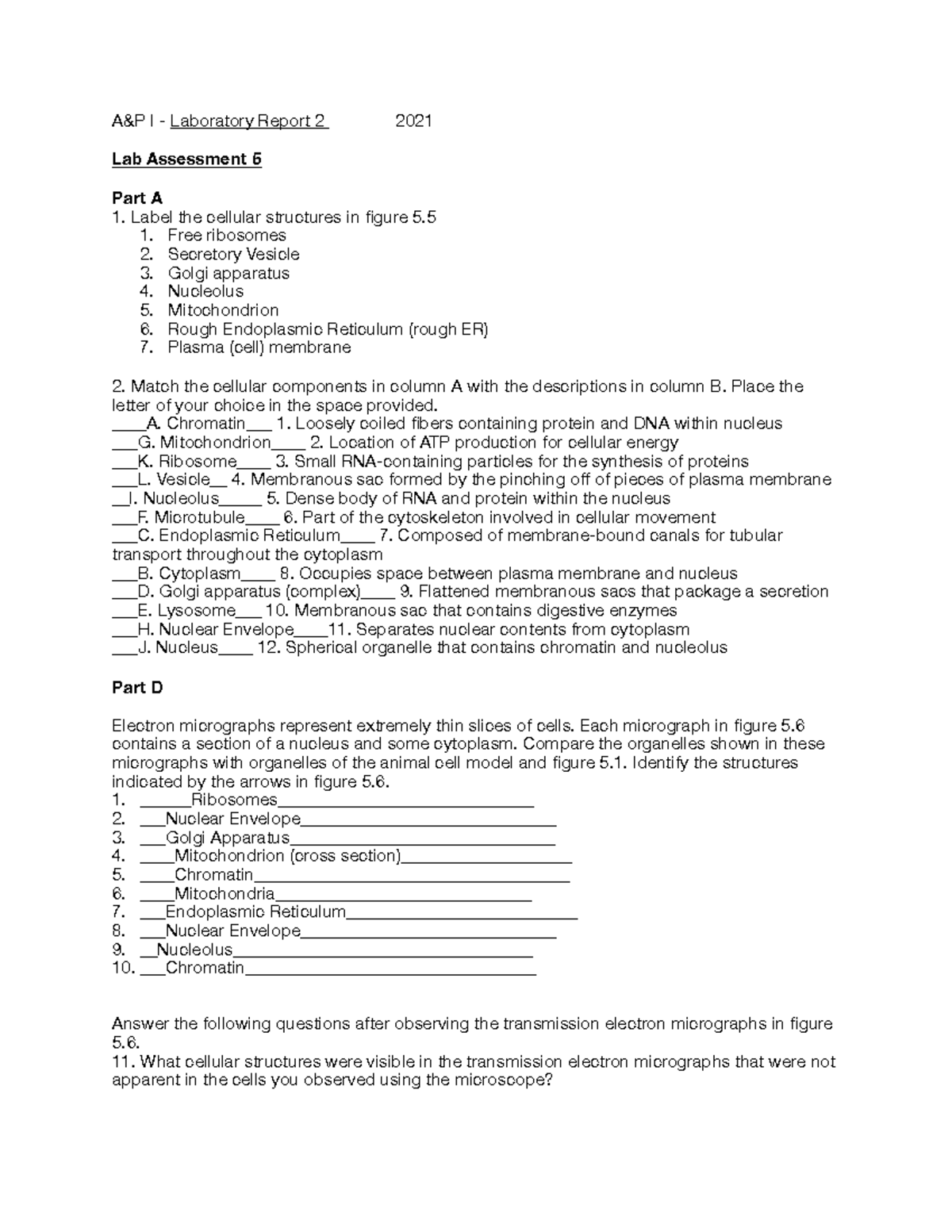 A&P I Laboratory Report 2 2021 - A&P I - Laboratory Report 2 2021 Lab ...