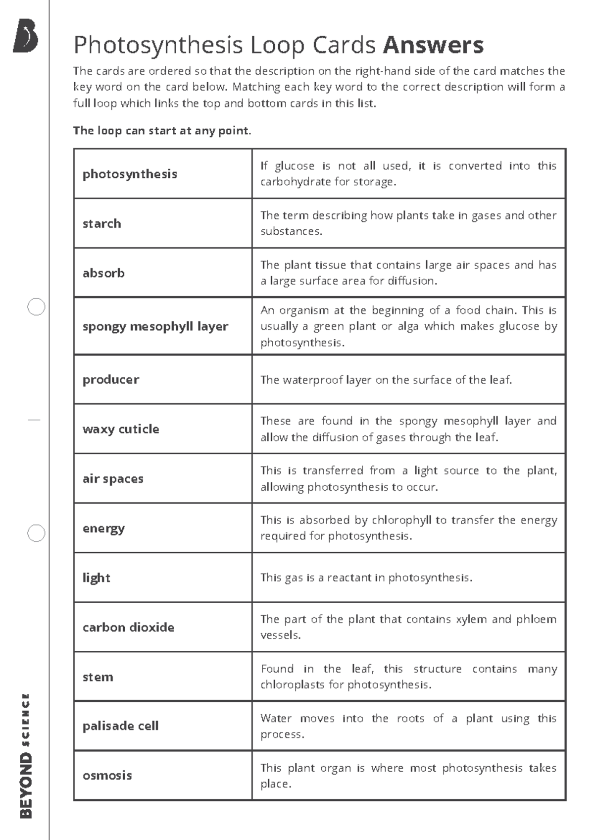Photosynthesis Loop Cards Answers - Matching each key word to the ...