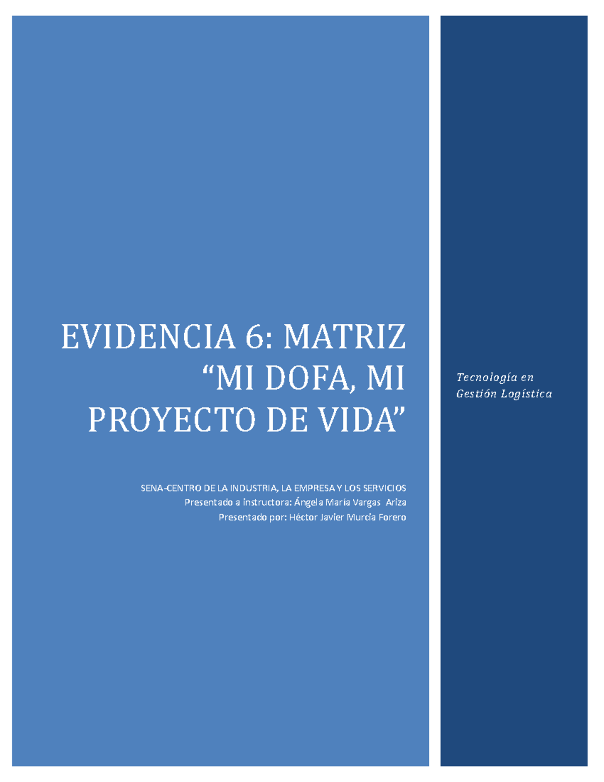 Evidencia 6 aa1 mi dofa - Desarrollo de la dofa en la empresa ...