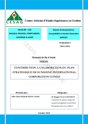 PFE Contribution d'audit interne à la performance d'entreprise - UNIVERSITÉ IBN TOFAIL – KÉNITRA ...