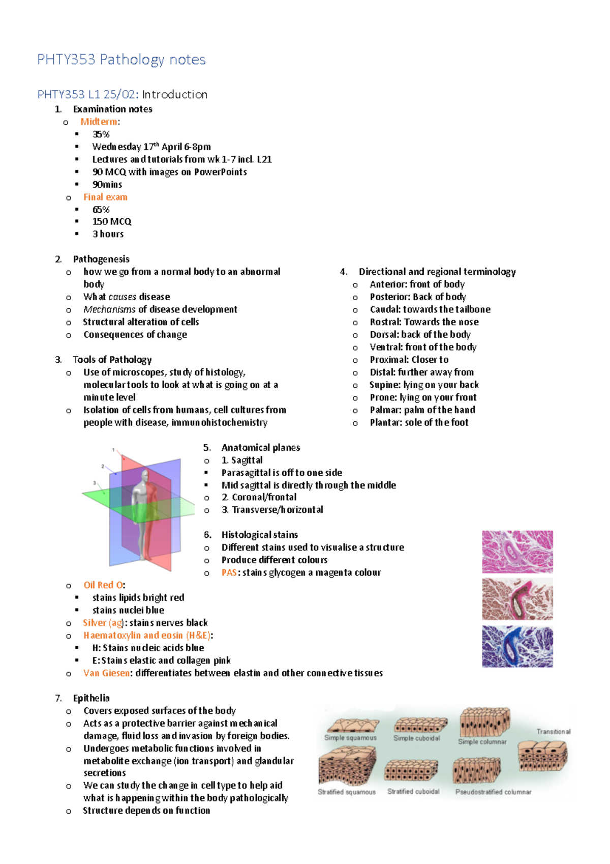 Pathology for Physiotherapy Lecture 1 - Warning: TT: undefined function ...