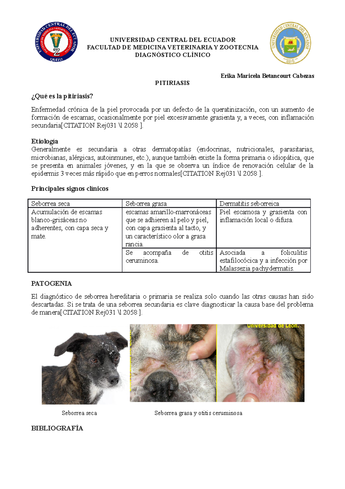 Pitiriasis pATOLOGÍA vETERINARIA - UNIVERSIDAD CENTRAL DEL ECUADOR ...