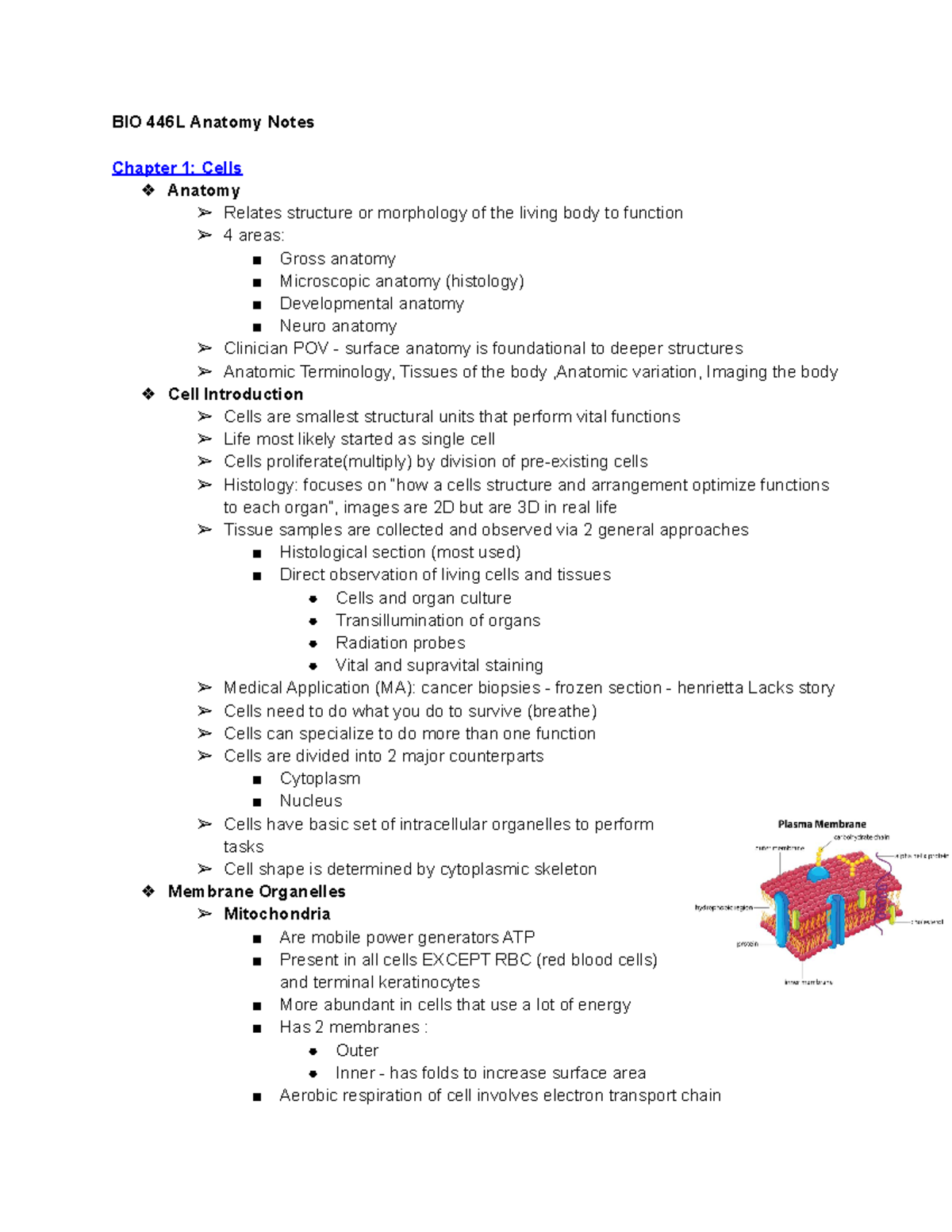 BIO 446L Anatomy Notes - www - BIO 446L Anatomy Notes Chapter 1: Cells ...