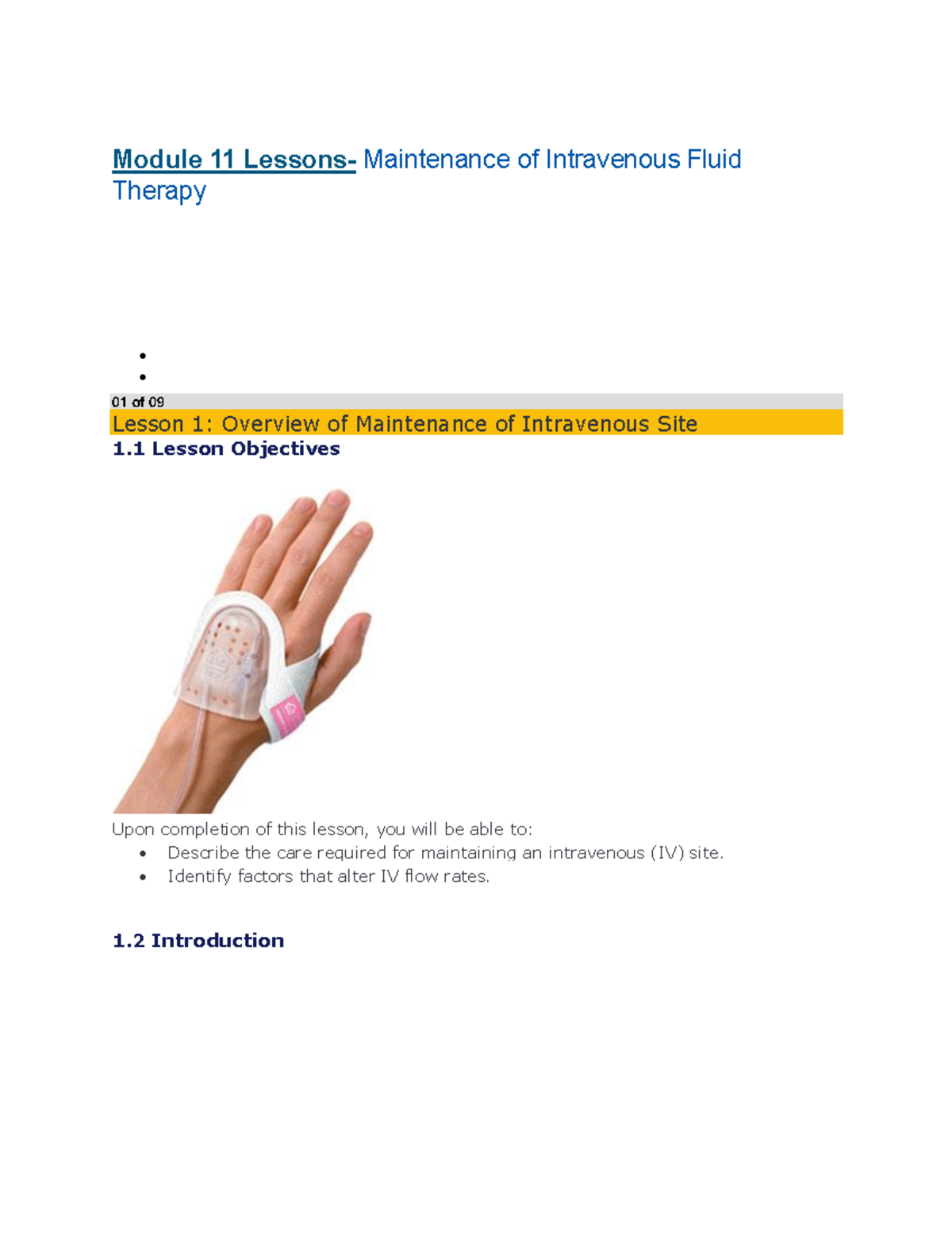 Module 11 Maintenance of Intravenous Fluid Therapy - Module 11 Lessons ...