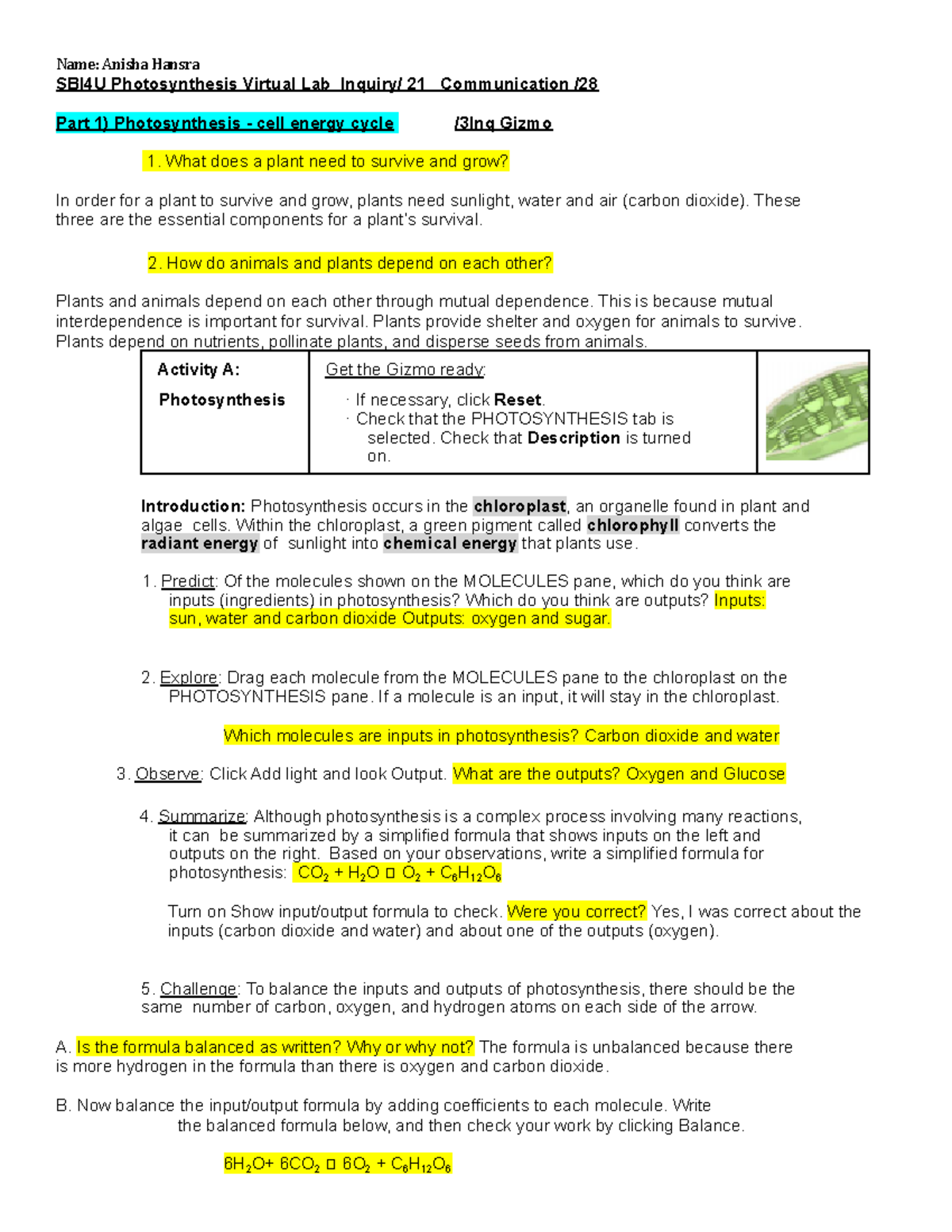 Copy of Photosynthesis ISU Lab 2021q3.docx - SBI4U Photosynthesis ...