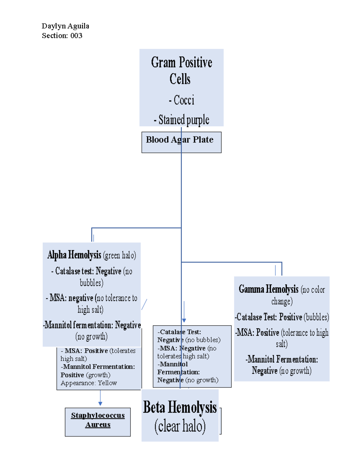 Flow Chart - !!! - Daylyn Aguila Section: 003 Staphylococcus ...