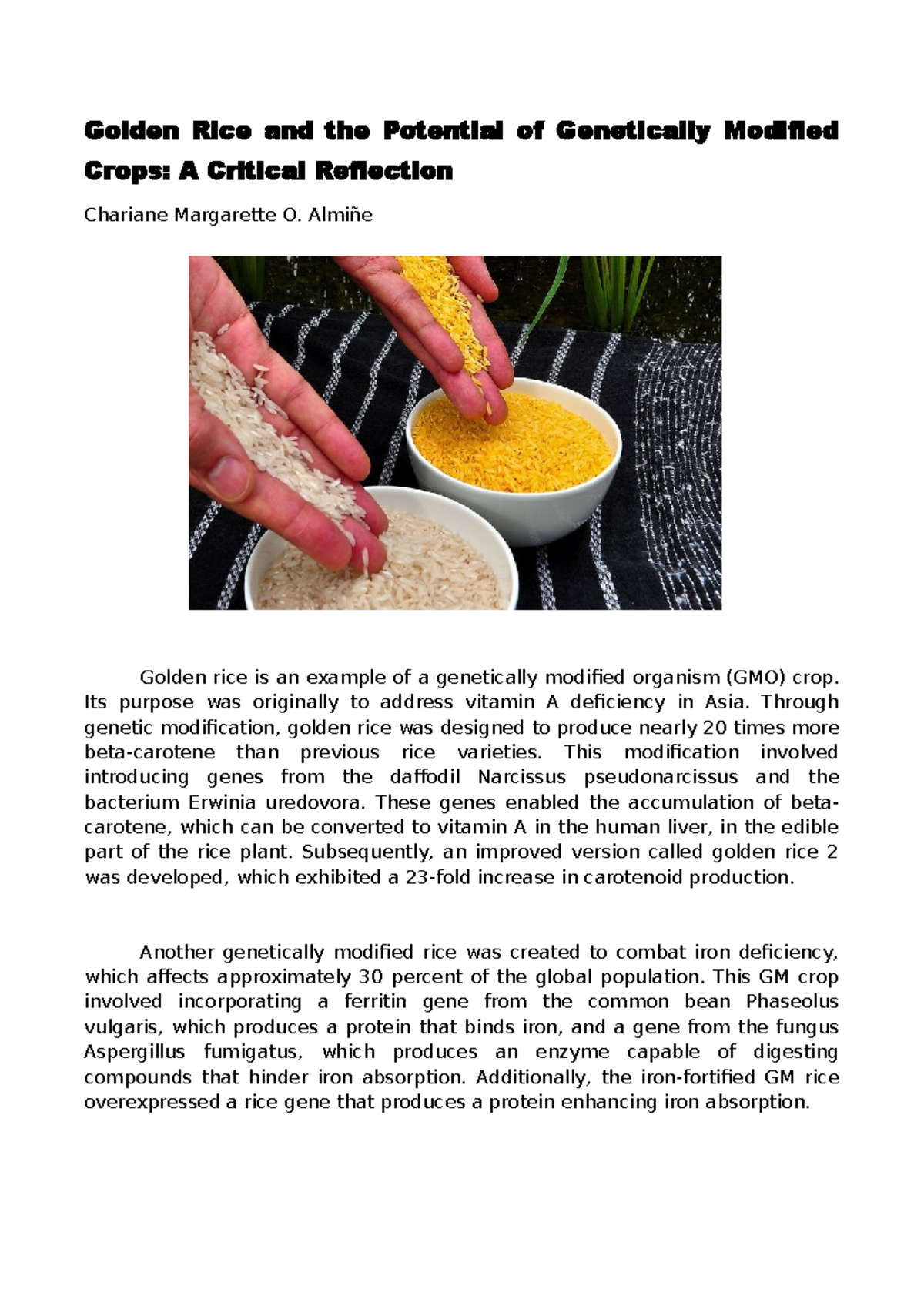 gmo reaction paper - Golden Rice and the Potential of Genetically ...