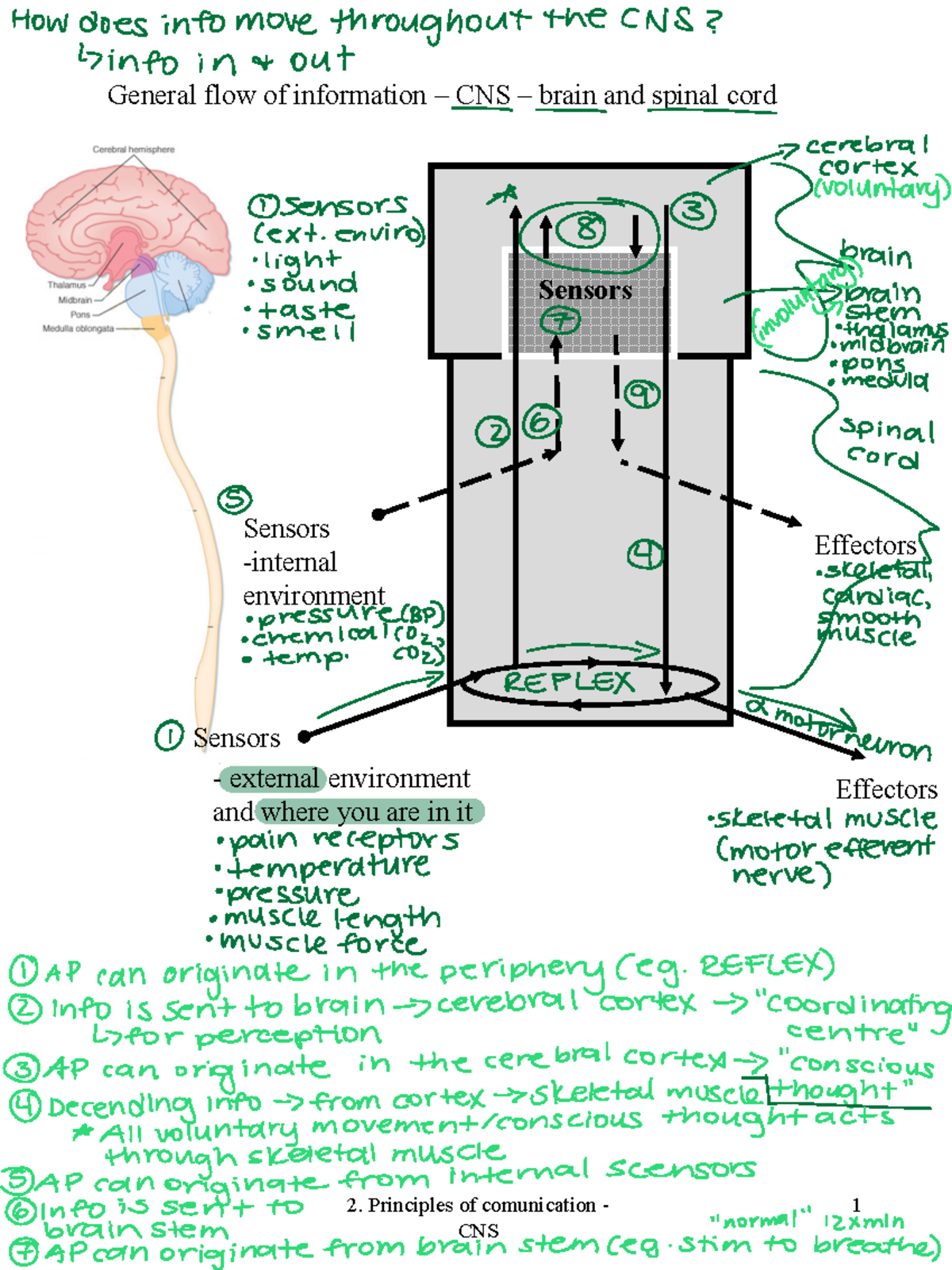 2. Communication CNS blank pages included - Principles of comunication ...