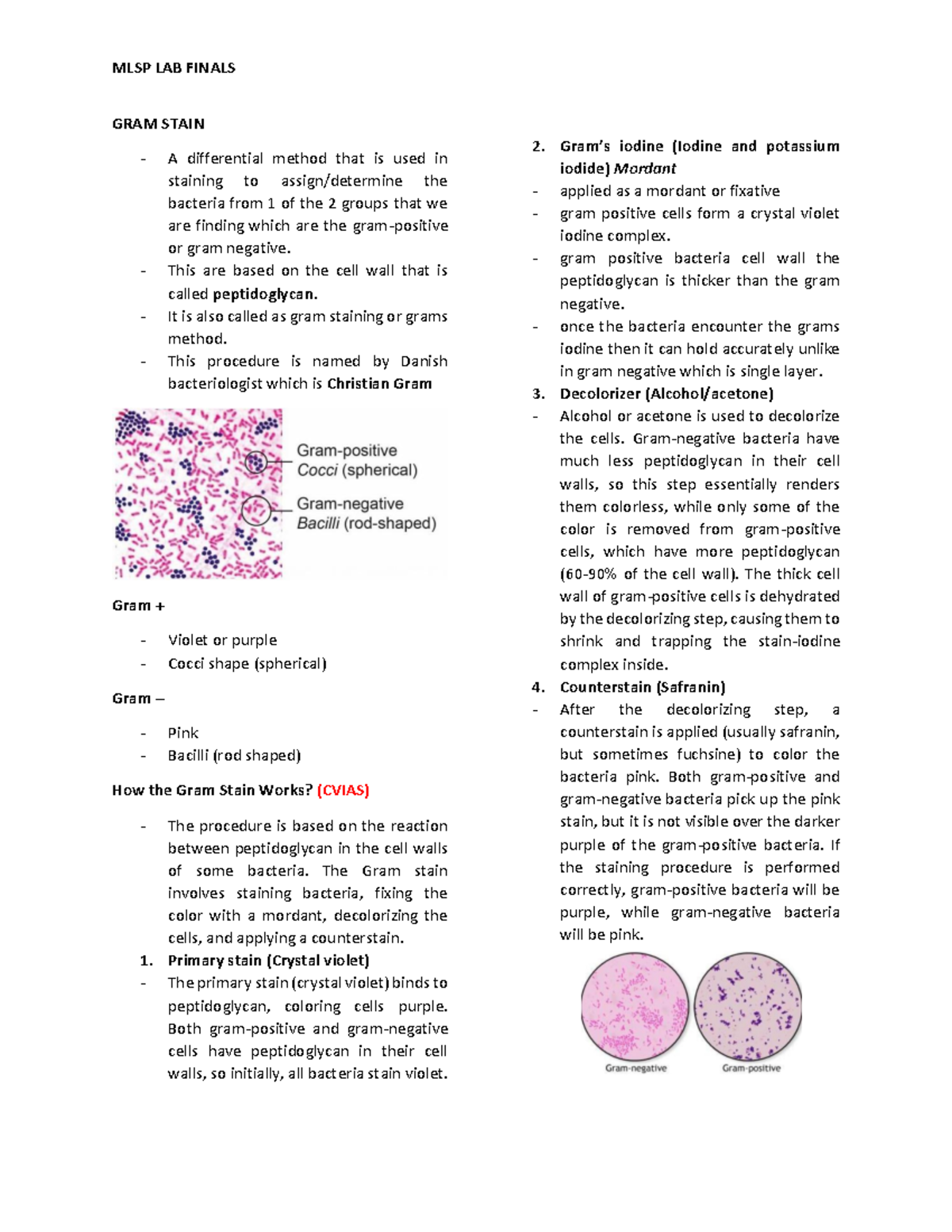 Gram-Stain LAB finals - Anonymous - MLSP LAB FINALS GRAM STAIN A ...