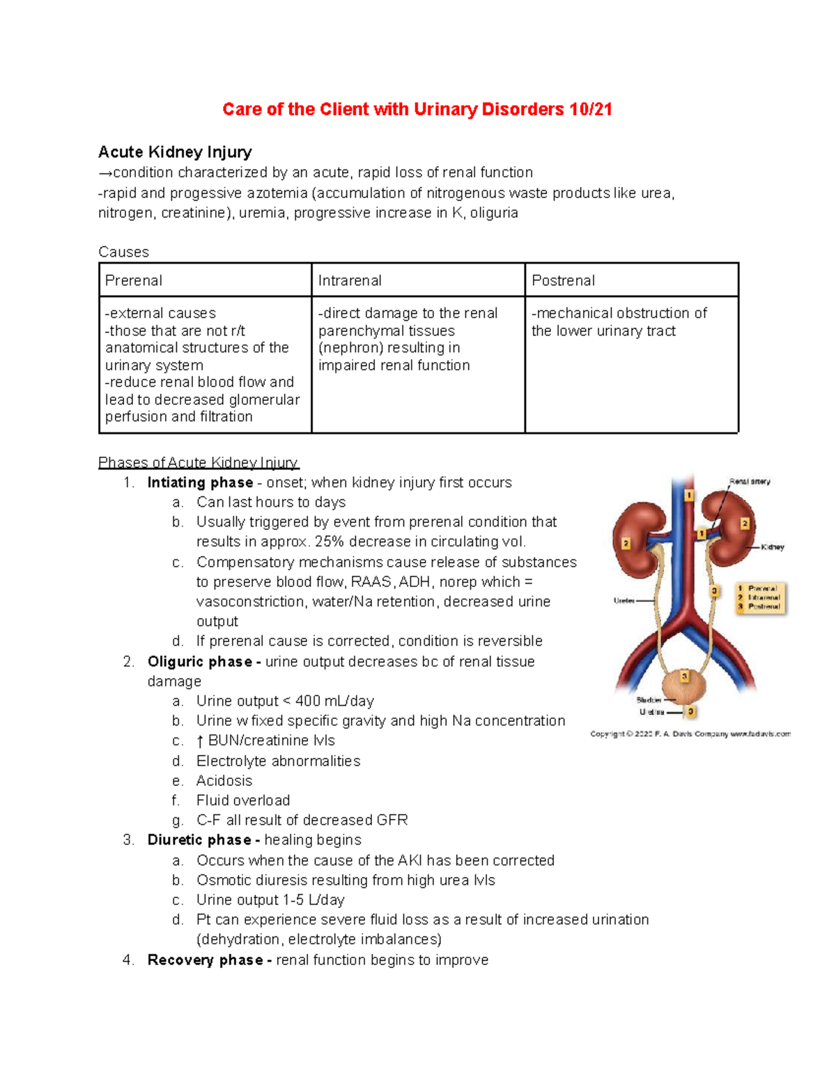 NUR 313 Care of the Client with Urinary Disorders - Care of the Client ...