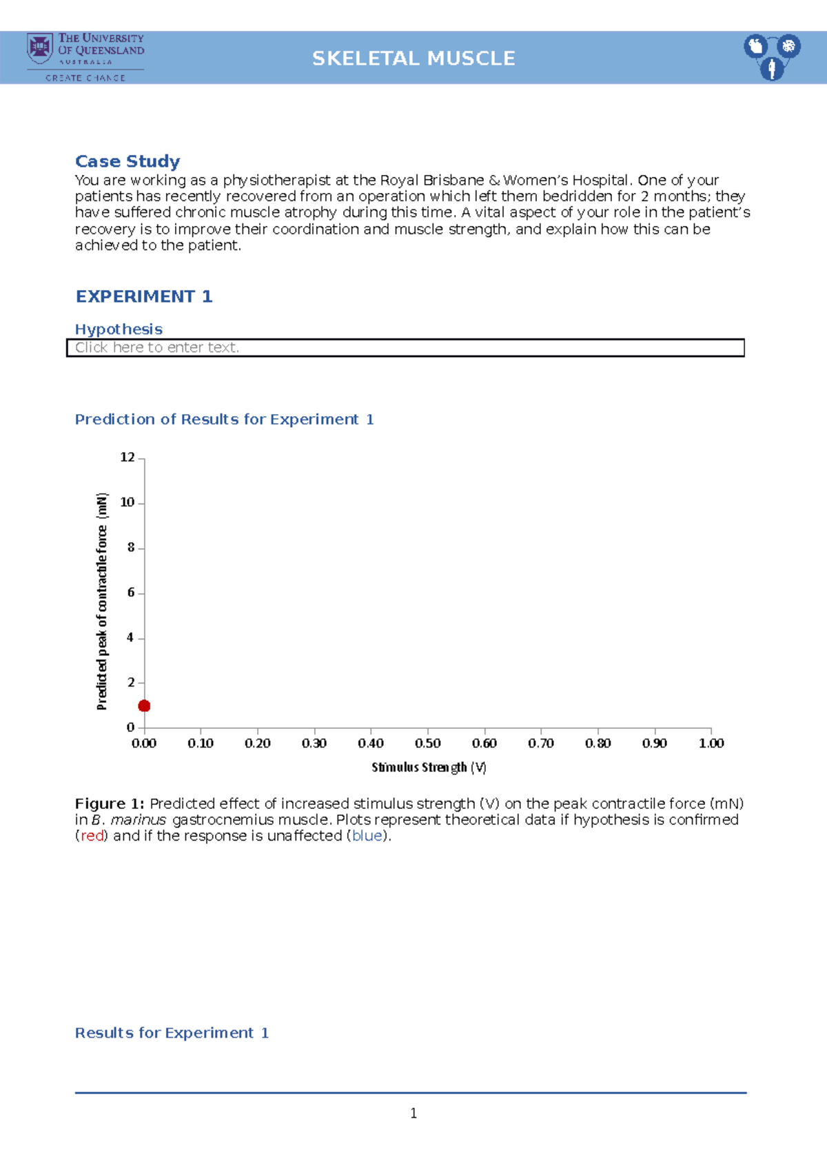 Sk M Report Template - Case Study You are working as a physiotherapist ...