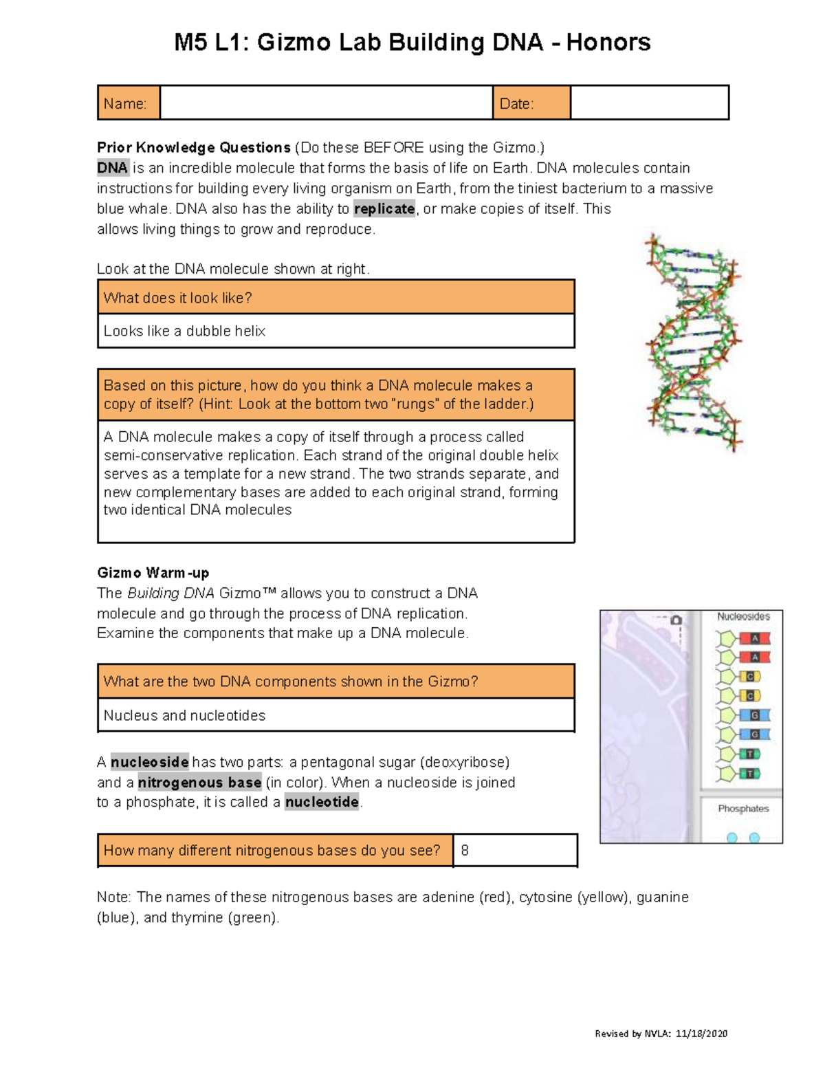 Copy of M5 L1 Gizmo Lab Building DNA - Honors - Name: Date: Prior ...